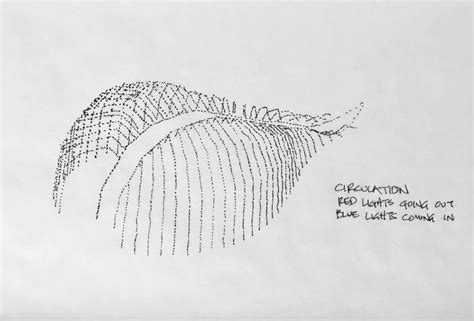 Pin On Chilopod Nature