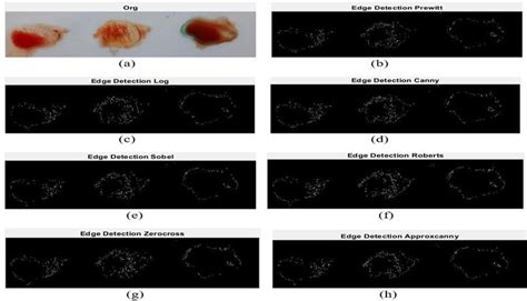 Snapshot For Edge Detection Functions Used Download Scientific Diagram