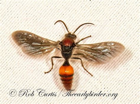 Timulla From Warsaw Il 62379 On September 5 2023 At 0103 Am By