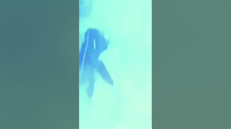 فخامت جوهان Youtube