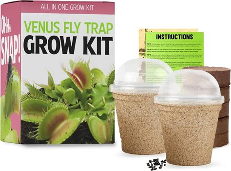 Wellness Tree Venus Fly Trap Seeds Growing Starter Kit All