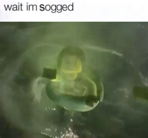 Morro Got Sogged Morro Ninjago Meme In 2025 Ninjago Memes Ninjago Memes