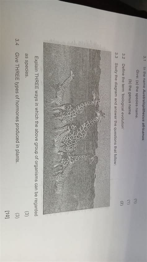 31 In The Name Australopithecus Africanus A Give The Species Name 1