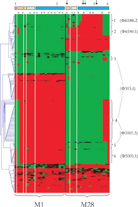 Two Dimensional Hierarchical Clustering Illustrating Differential