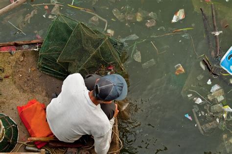 Premium Photo High Angle View Of Woman Working In Water