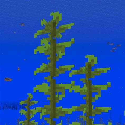 Kelp Minecraft