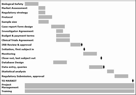 Clinical Development Plan Template Peterainsworth