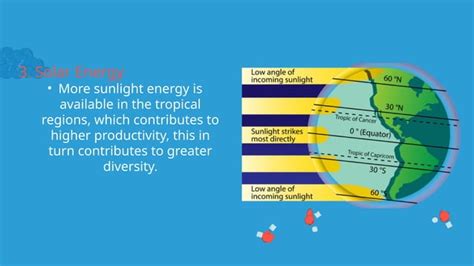 Patterns Of Biodiversity Biodiversity And Conservation Pptx