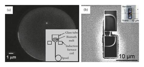 A Cross Sectional Sem Image Of A Bi Nanowire Grown By A The Download Scientific Diagram