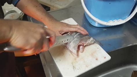Sashimi Cutting Technique At Buck Teague Blog