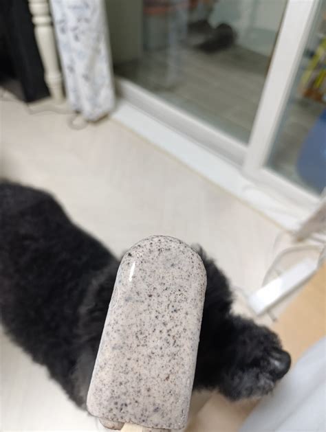 쿠앤크 엄청 작아졌네 치지직 에펨코리아