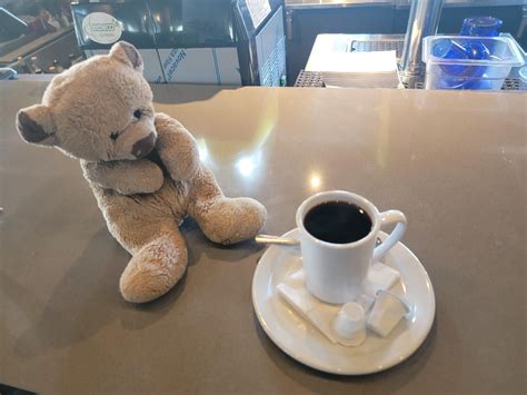 Teddy Split A Large Meal With Me At Chilis And Enjoyed The Aston