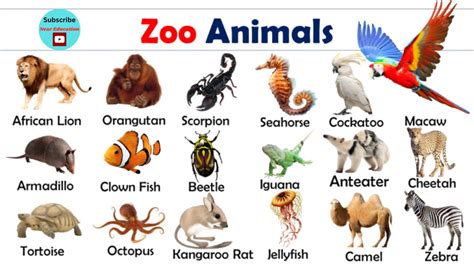 Zoo Animals Names And Pictures In English Zoo Animals Famous Zoo