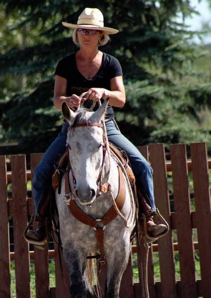 Watch The Ears Spend Less Time Between Them Nickernews