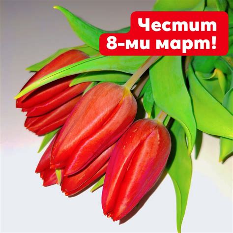 Magic Of Colors 🌷 Честит 8 ми март мили Дами 🌷 Facebook