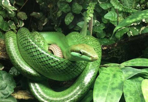 Oslo Pass Co Obejmuje Cena I Czy Warto Ją Mieć