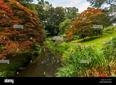 Tree Lined River Stock Photo Alamy