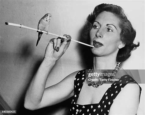 English Actress Patricia Laffan Poses With Jimmy The Tv Budgerigar News Photo Getty Images