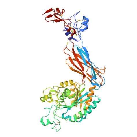 Rcsb Pdb 9czf Crystal Structure Of Integrin Avb6 Headpiece In