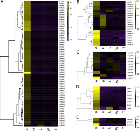 Sex And Tissue Specific Transcriptome Analyses And Expression