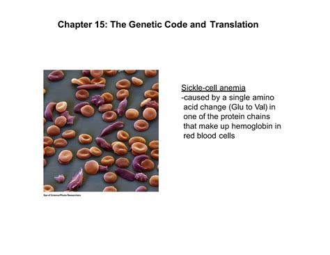 Mbg2040 F23 Genetic Codetranslation Chapter 15 The Genetic Code And