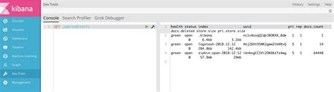 knative 日志记录 日志存储 kibana 无法获取映射 elasticsearch escheng elastic中国社区