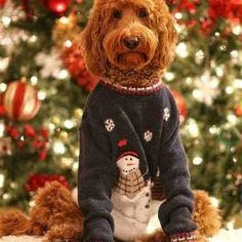 Stream Aidan Acker Walsh Listen To Saucy Algorithms Playlist Online