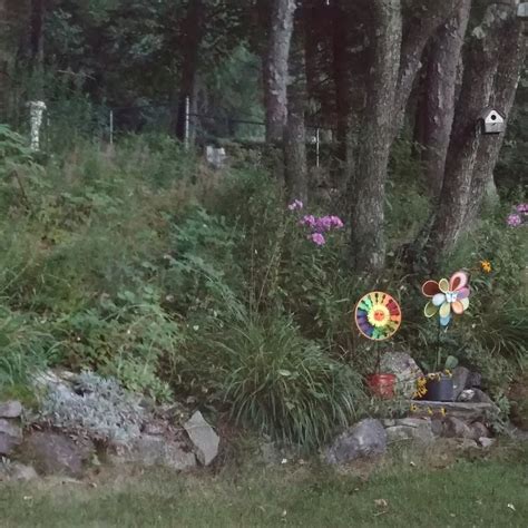 Tom Micholas Youtube