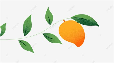 Mango Vector Design Images Mango Vector Illustration Logo Icon Mango Plant Png Image For