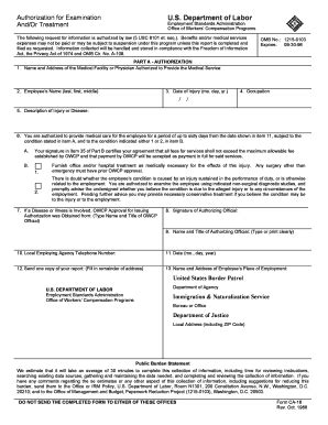 Printable Ca 17 Form