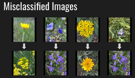 GitHub Jw Wildflower Finder Image Classification Of Wildflowers Using Deep Residual