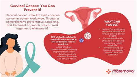 Hpv In Women Cervix