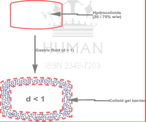 Intra Gastric Single Layer Buoyant Tablet Download Scientific Diagram