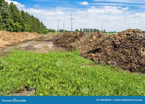 Farm Composting In Windrows Stock Image Image Of Windrow Piling