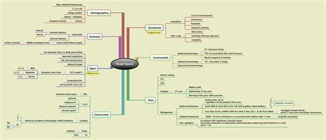 Brain Mapping Software Used To Treat Closed Head Injuries Catalogload