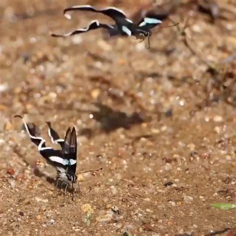 Float Album On Imgur