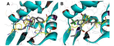 A Compounds 6e Green Docked Into Mdm2 Structure Pdb Id 3lbl
