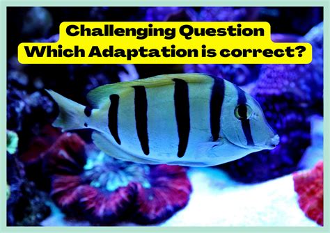 Adaptation Of Fish