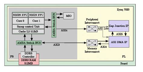 Prototyping A Biologically Plausible Neuron Model On A Multi Fpga System Semantic Scholar