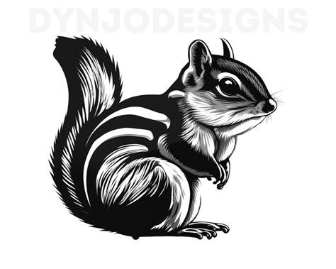Chipmunk Clipart Black And White