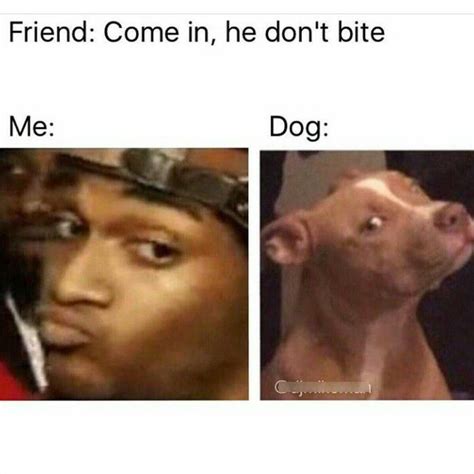 Pin On Funny