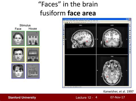 Lecture Face Recognition Ppt Download