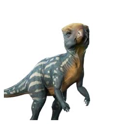Homalocephale Dinosaurs Jurassic World Primal Ops