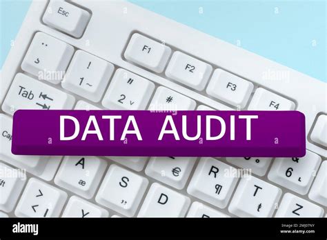 Handwriting Text Data Audit Word For Auditing Of Data To Assess Its Quality For A Specific