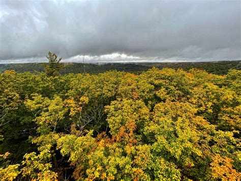 Gateway To The Big Thicket National Preserve Trees See Acres Of Support Rnationalparks