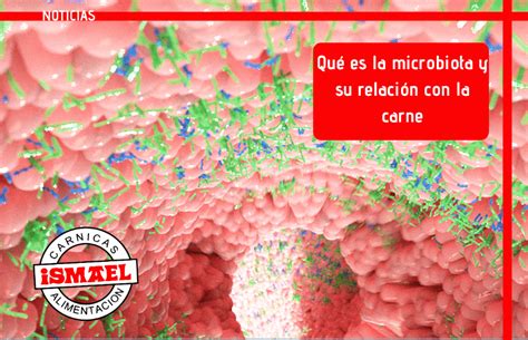 ️ Qué Es La Microbiota Y Su Relación Con La Carne