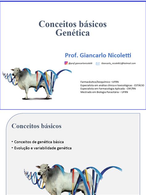 Aula Conceitos Basicos De Genetica Aula 1 Pdf Meiose Mitose