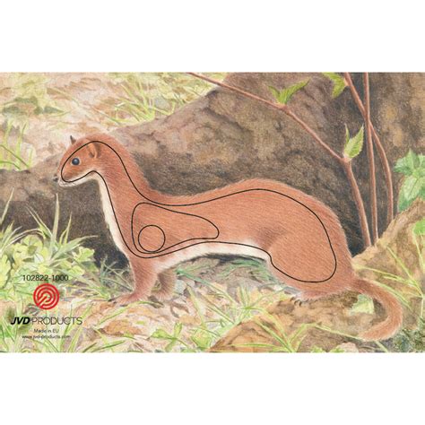 Target Face Ermine Shadow Archery