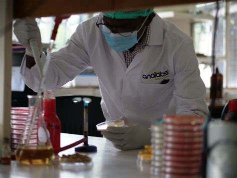 Microbiological Analysis Of Food Products Is The Use Of Biological Biochemical Molecular Or