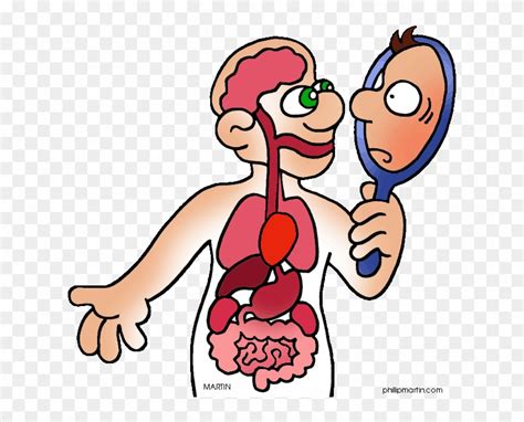 Human Body Outline Template Clipart Free To Use Clip Art Clip Art